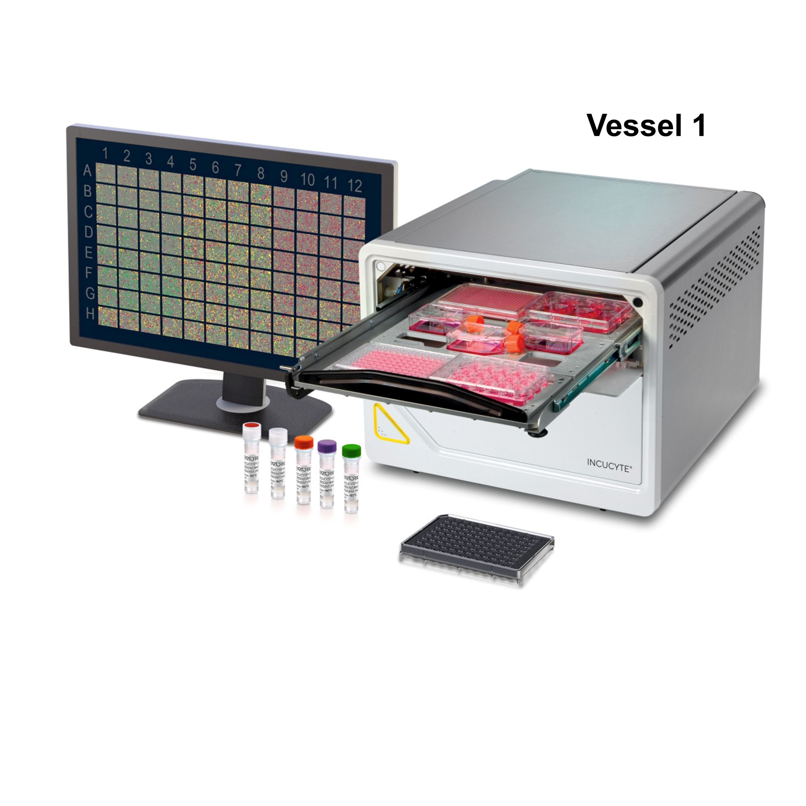 长时间活细胞动态观察及分析系统 Live Cell Analysis System_Vessel 1|香港科技大学（广州）大型仪器共享管理平台